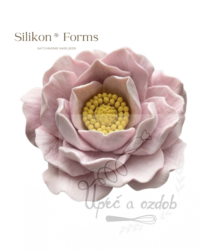 Silikon Forms :: Upeč a ozdob